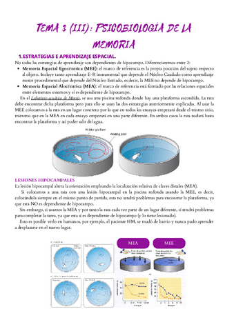 TEMA-3-III-MEMORIA.pdf