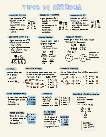 Tipos-de-herencia.pdf