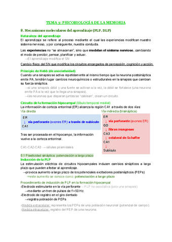 Tema-3.4-Psicobiología-de-la-memoria.-Mecanismos-moleculares-del-aprendizaje (LTP, LTD).pdf