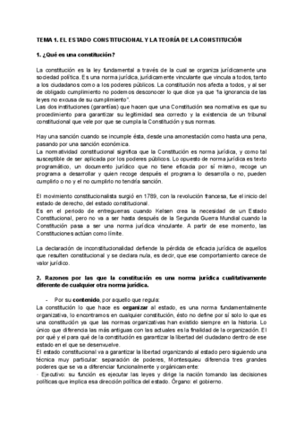 Tema-1-constitu.pdf