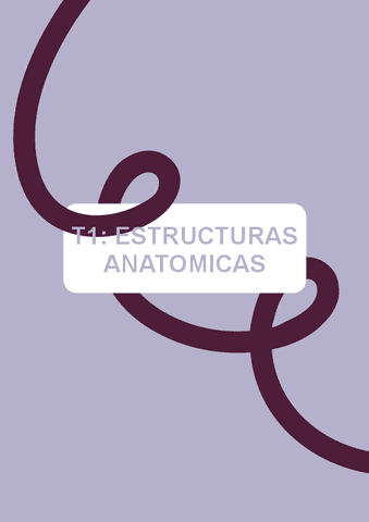 T1-ESTRUCTURAS-ANATOMICAS.pdf