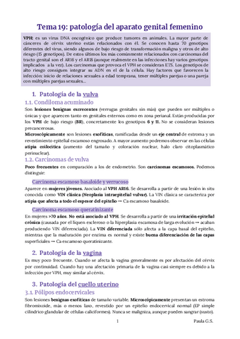 AP-TEMA-19-20-RESUMEN.pdf