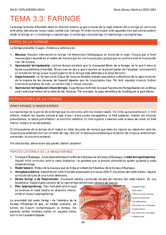 TEMA-3.3.-AP-DIGESTIU.-FARINGE.-AH-III-APUNTS-84-88.pdf