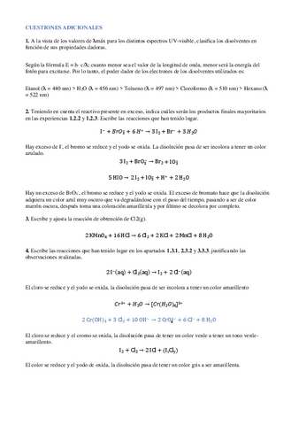 CUESTIONES-ADICIONALES-P9.pdf