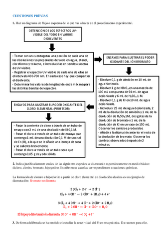 CUESTIONES-PREVIAS-P9.pdf