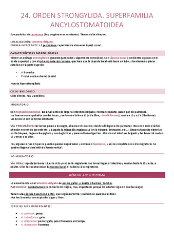 24. Orden Strongylida. Superfamilia Ancylostomatoidea.pdf