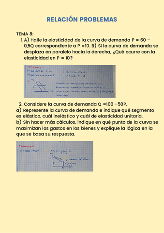 RELACION-PROBLEMAS-T8.pdf