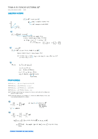 Tema 4 El Espacio Vectorial Rn Pdf
