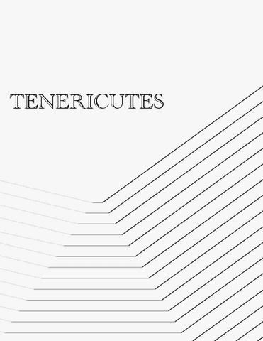 Tema-13.-Tenericutes.pdf