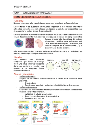 TEMA-11-senalizacion-intracelular.pdf