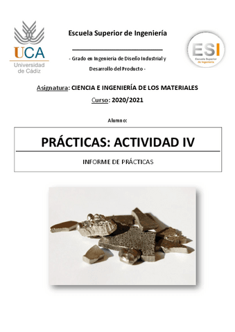 ACTIVIDAD-IV-PRACTICAS-CIM.pdf