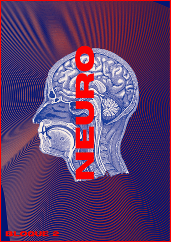 Neuro-Bases-Explicado.pdf