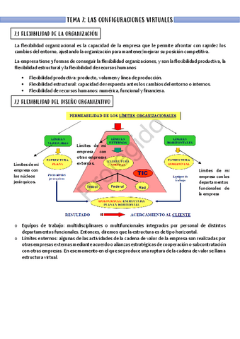 Teoria-tema-7-DO.pdf
