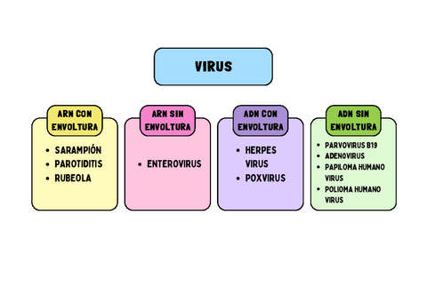 Esquemas-virus-exantematicos--oncovirus--arbovirus.pdf