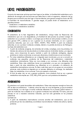 ud12-BQ-Metabolismo.pdf