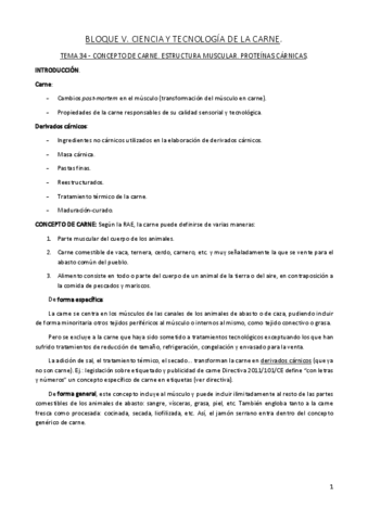 TEMA-34.pdf