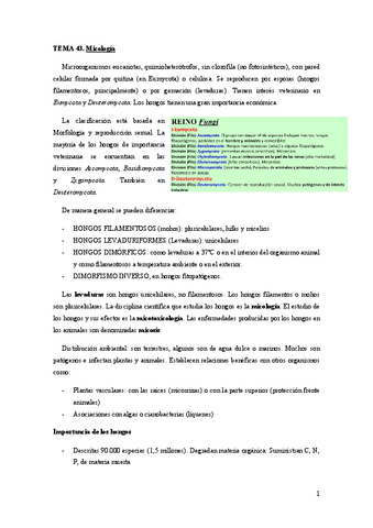 TEMA-43.pdf