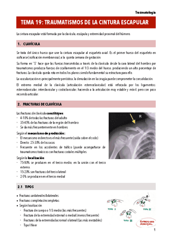 T19-TRAUMATISMOS-DE-LA-CINTURA-ESCAPULAR.pdf