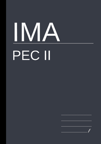 PEC-II-apuntes-CON-ANOTACIONES-DE-CLASE.pdf