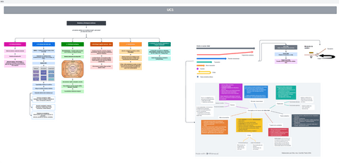 UC1-Mapa-Conceptual-Resumen.pdf