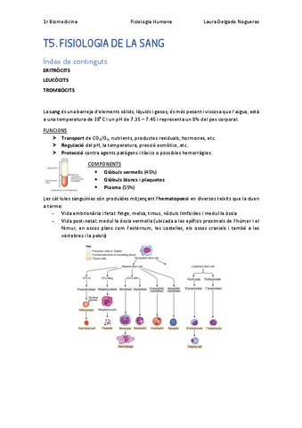 FISIO-T5-Fisiologia-de-la-Sang.pdf