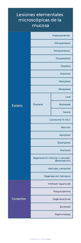 Tema-5.-Lesiones-elementales-microscopicas-de-la-mucosa.pdf