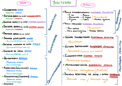 Esquema-Bacterias-Micro.pdf