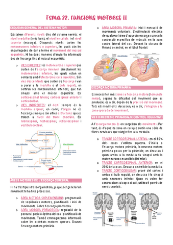 tema-22.-funcions-motores-II.pdf