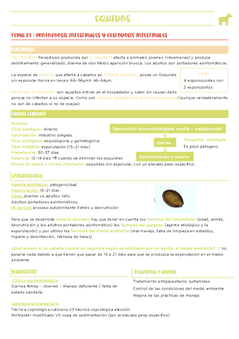 Modulo-de-equidos-Completo.pdf