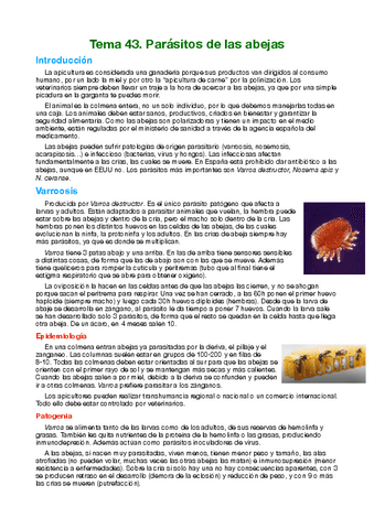 Tema-43-Parasitos-de-las-abejas.pdf