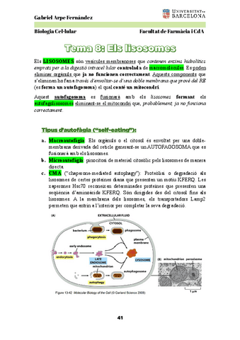 Tema-8-Apunts-Biocel-2n-Parcial-Gabriel-Arpe.pdf