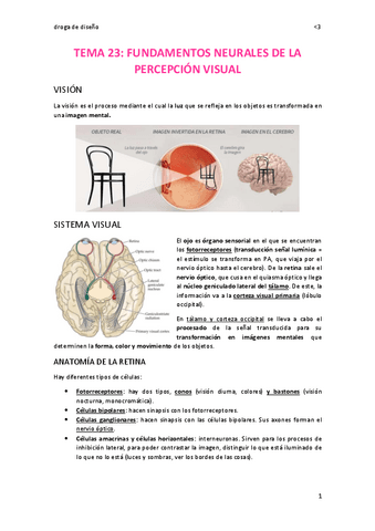 TEMA-23-pal-parcial-Percepcion-visual.pdf