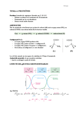 Tema-4.-Proteines.pdf