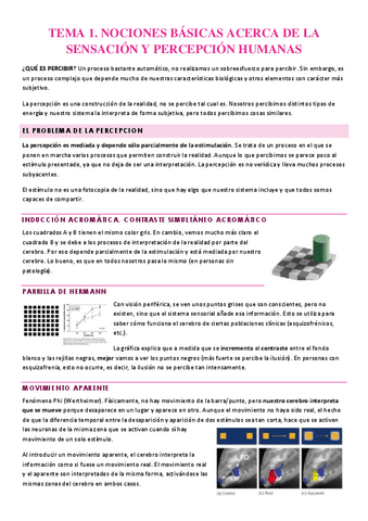 TEMA-1-PERCEPCION.pdf