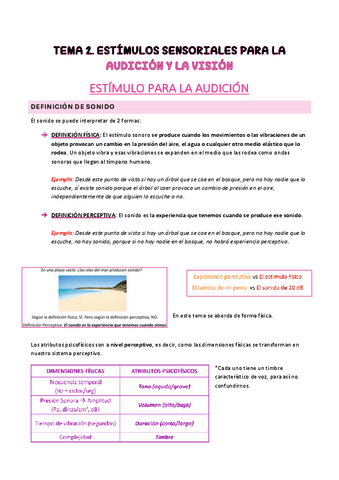 TEMA-2-PERCEPCION.pdf