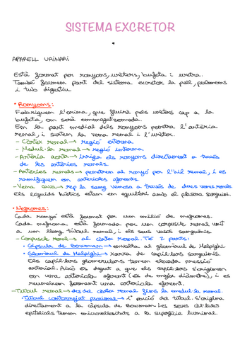 Apunts-Tema-10-11-12.pdf