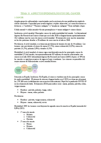 TEMA-31.pdf