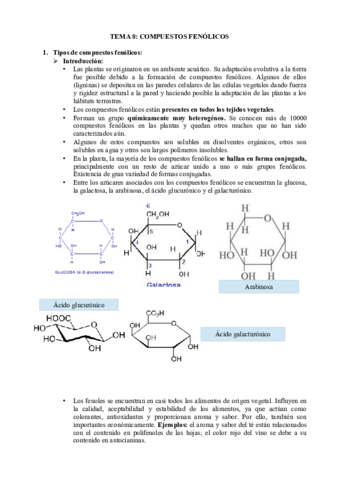 Tema8.pdf
