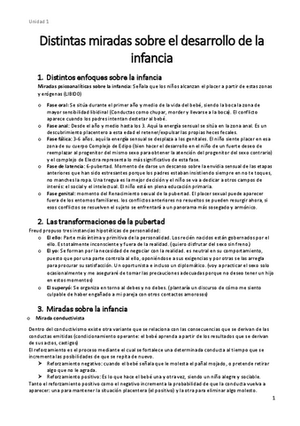 T1-PSICO-DESARROLLO.docx