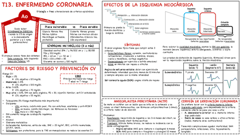 T13-Enfermedad-coronaria.pdf