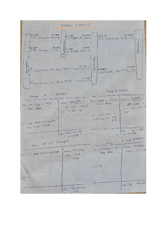 Resolución supuesto Fitosa MCV.pdf
