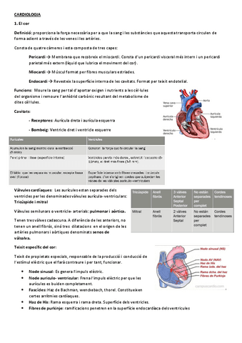 Apunts-cardio-Adult.pdf