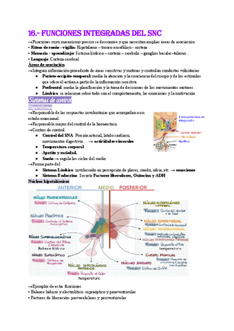 16.-Funciones-integradas-del-SNC.pdf