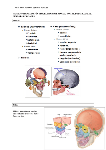 ANATOMIA-HUMANA-GENERAL-TEMA-20.pdf
