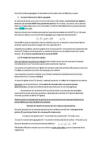 tema-10-macro.pdf
