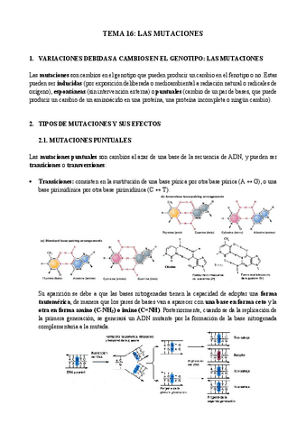 Tema-16-micro-I.pdf