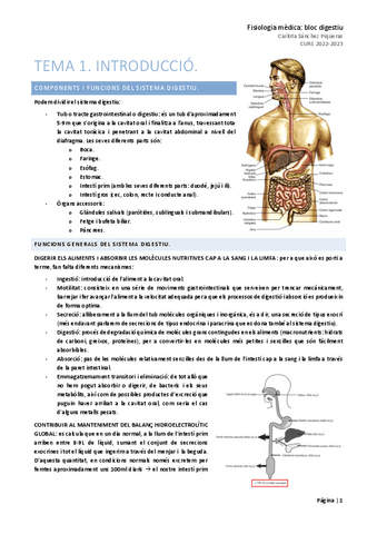 FISIO-DIGESTIU.pdf