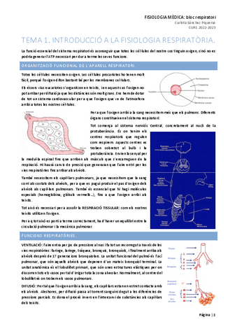FISIO-RESPIRATORI.pdf