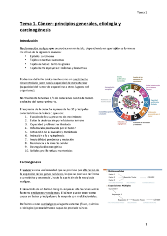 T1 principios generales.pdf
