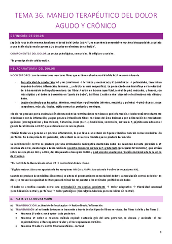 Tema-36.pdf